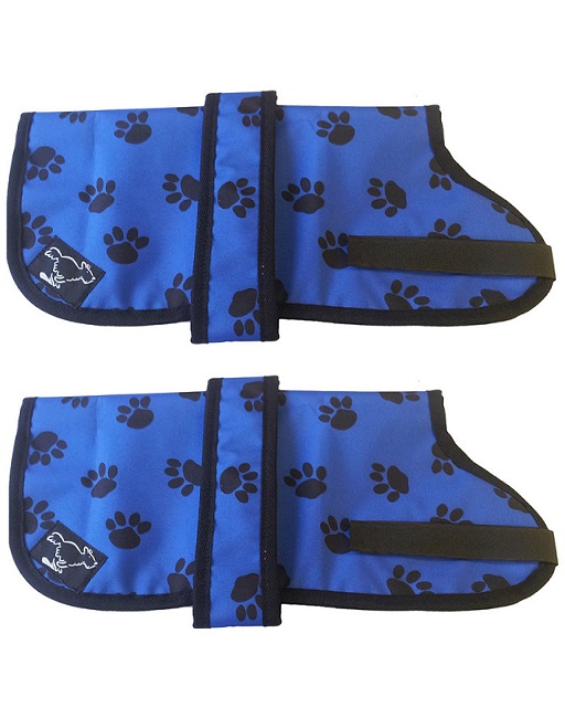 Personalised Waterproof Dog Coats | Royal Blue Pawprint