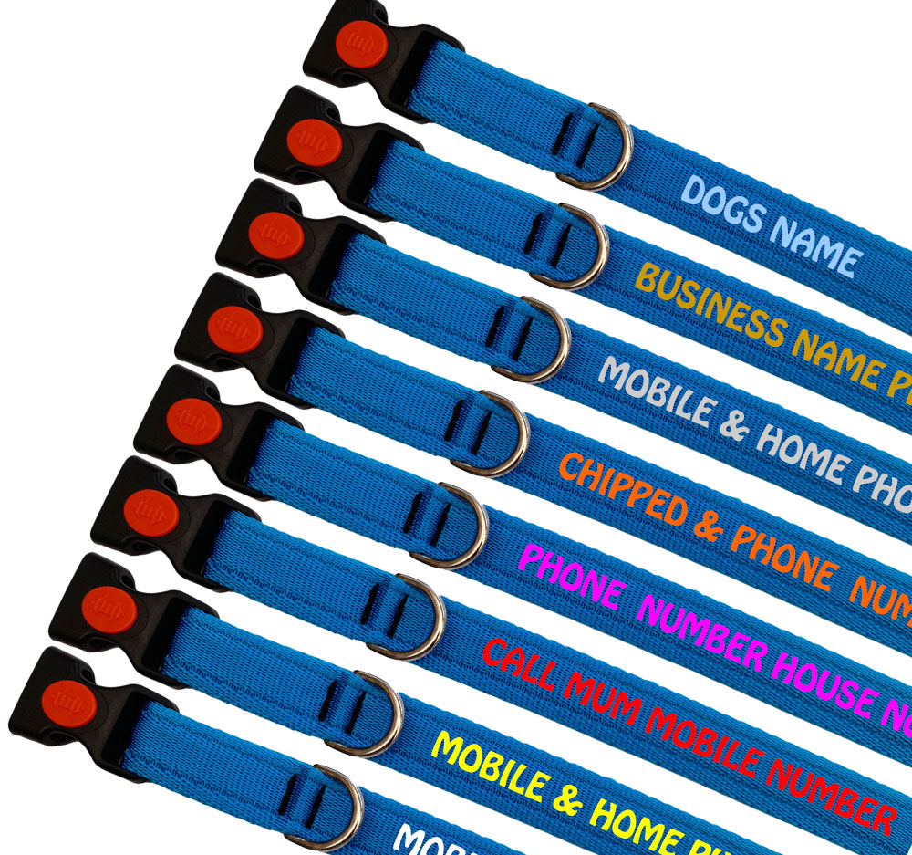 Embroidered Dog Collars | 24 Hr Dispatch | 100% Quality | UK Company